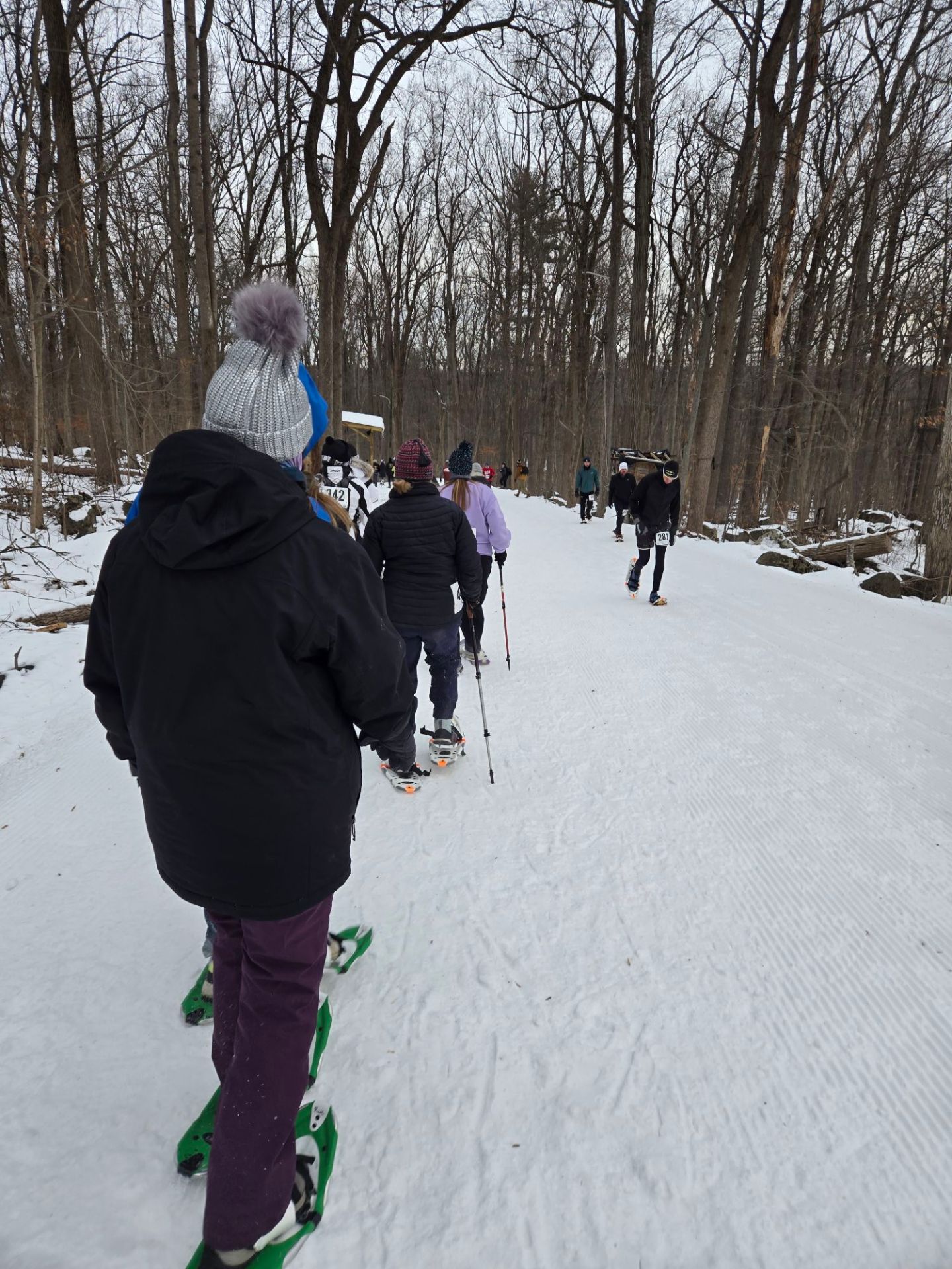 Snow day 2026 – Rebekah Jane Art