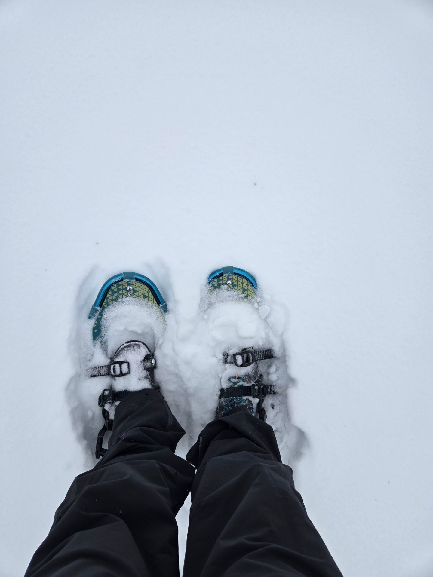 Snow day 2026 – Rebekah Jane Art